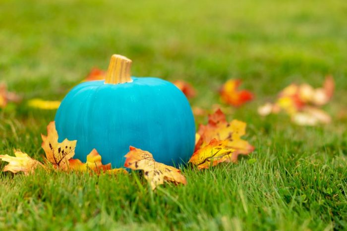Teal Pumpkins Raise Food Allergy Awareness!